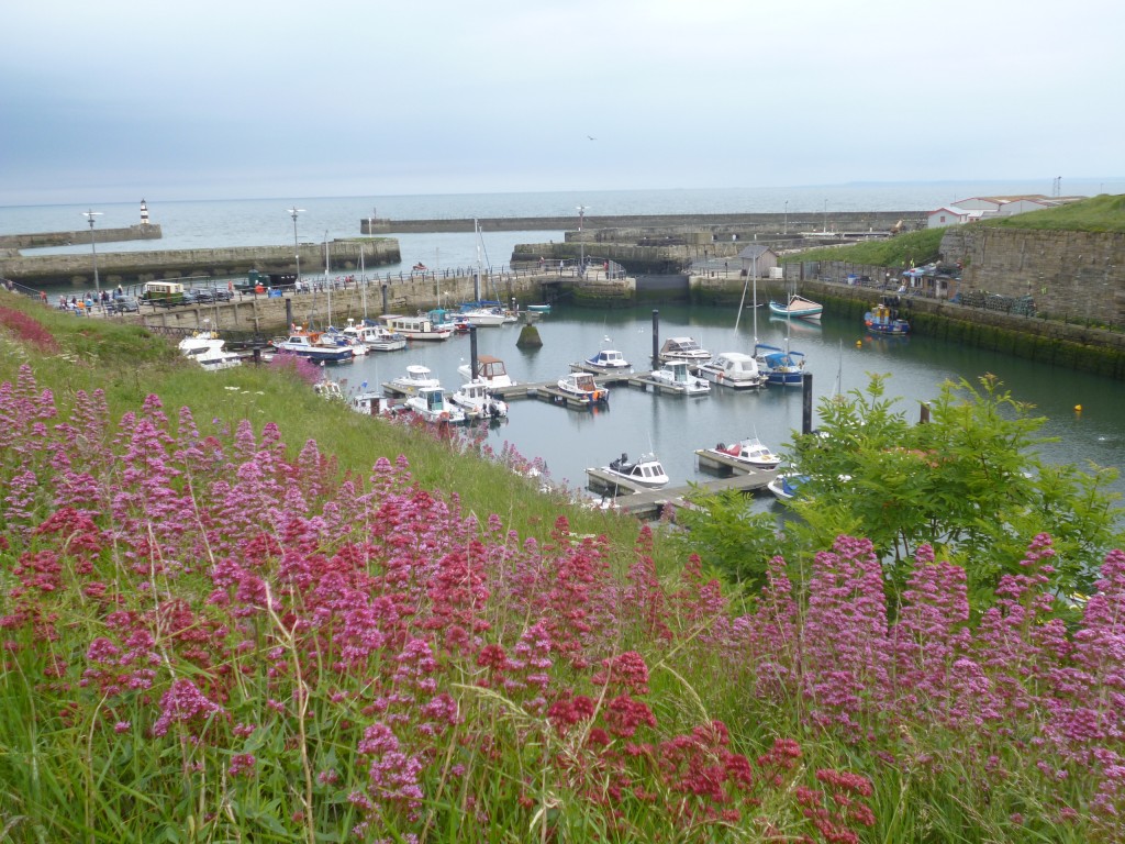 Seaham Harbour Open Day – Beamish Transport Online